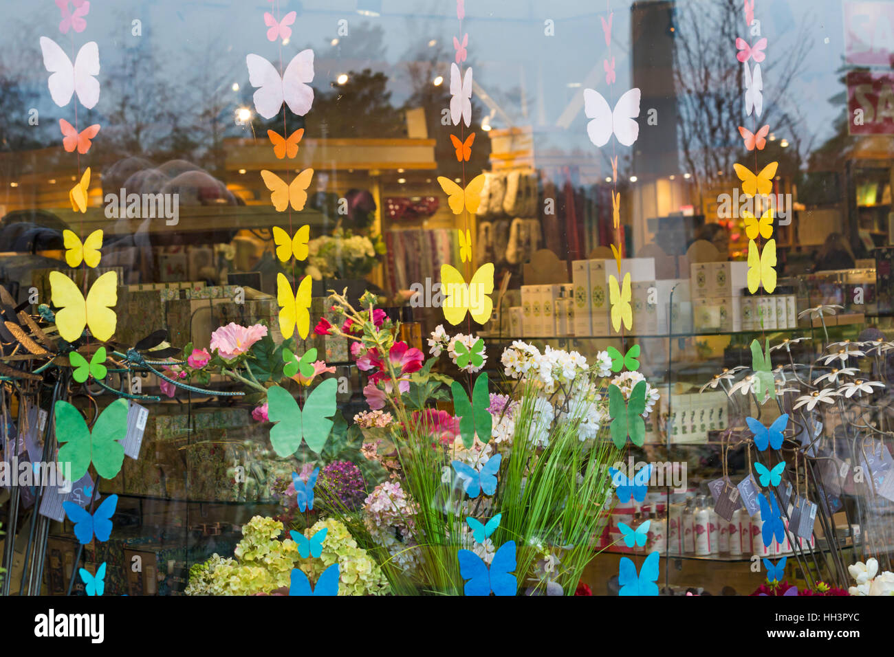 Butterflies on window of gift shop at RHS Garden Wisley, Woking, Surrey ...