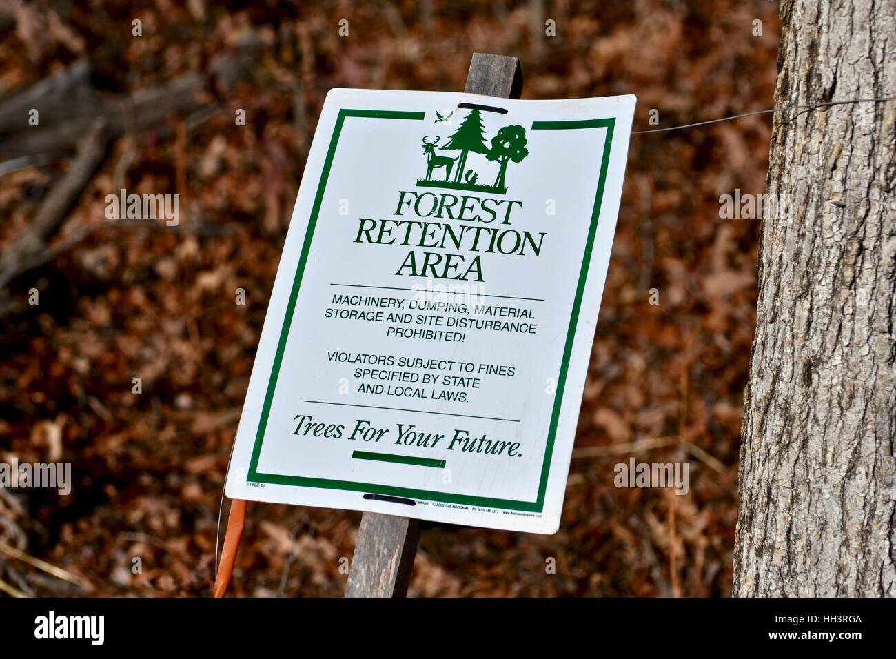 Forest retention area Stock Photo - Alamy