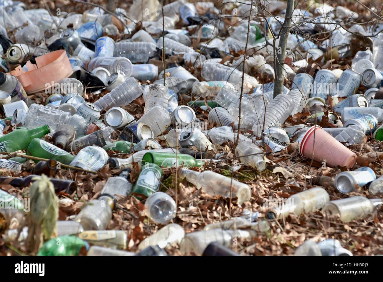Trash littered on the ground in a forest Stock Photo - Alamy