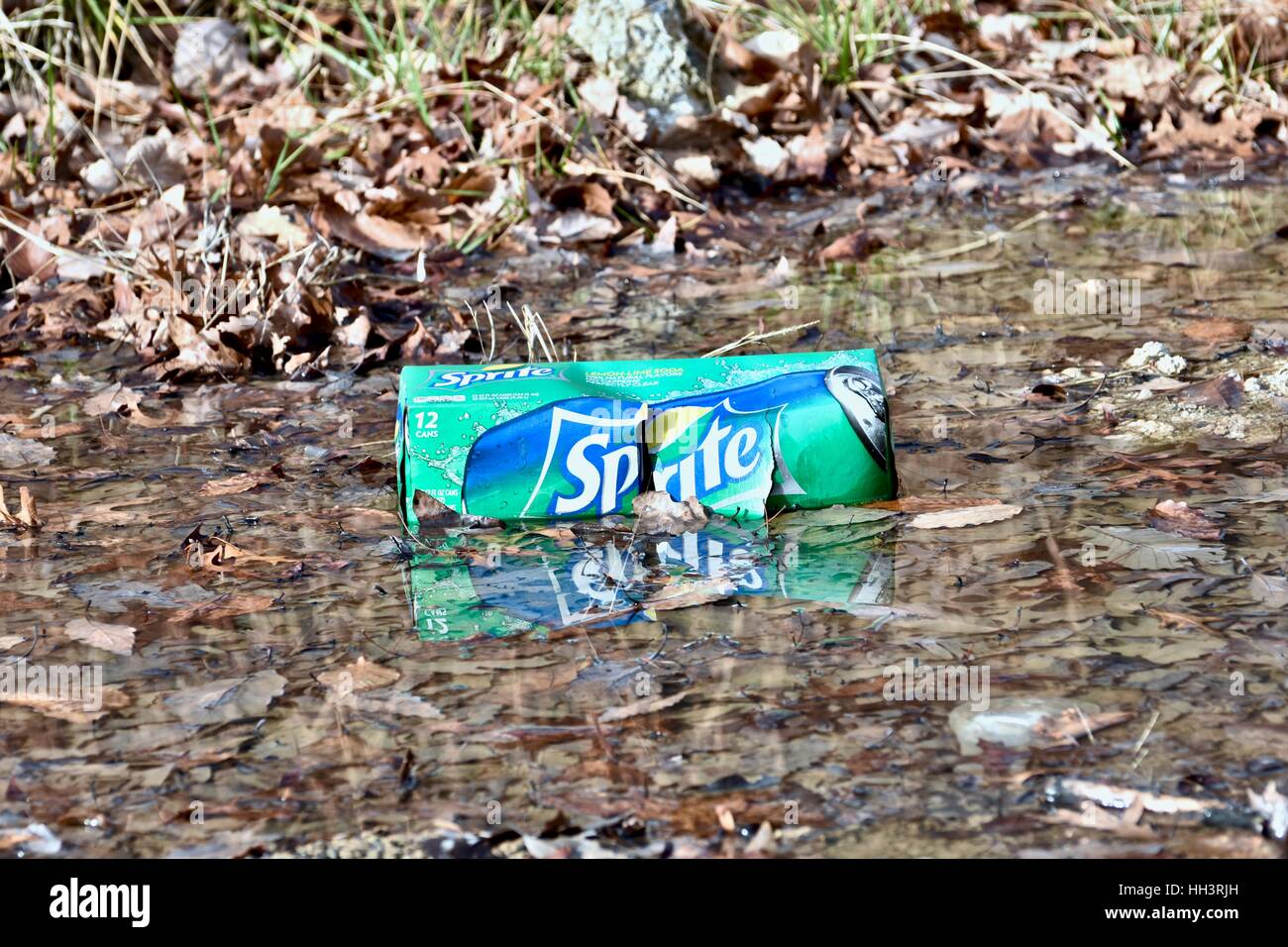 Trash littered on the ground in a forest Stock Photo - Alamy
