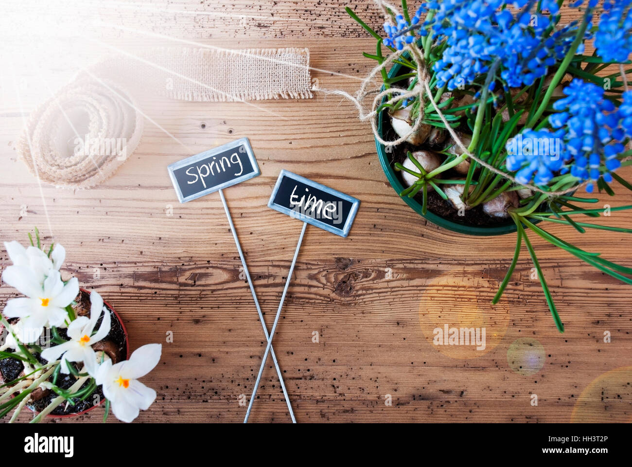 Sunny Flowers, Signs, Text Springtime Stock Photo - Alamy