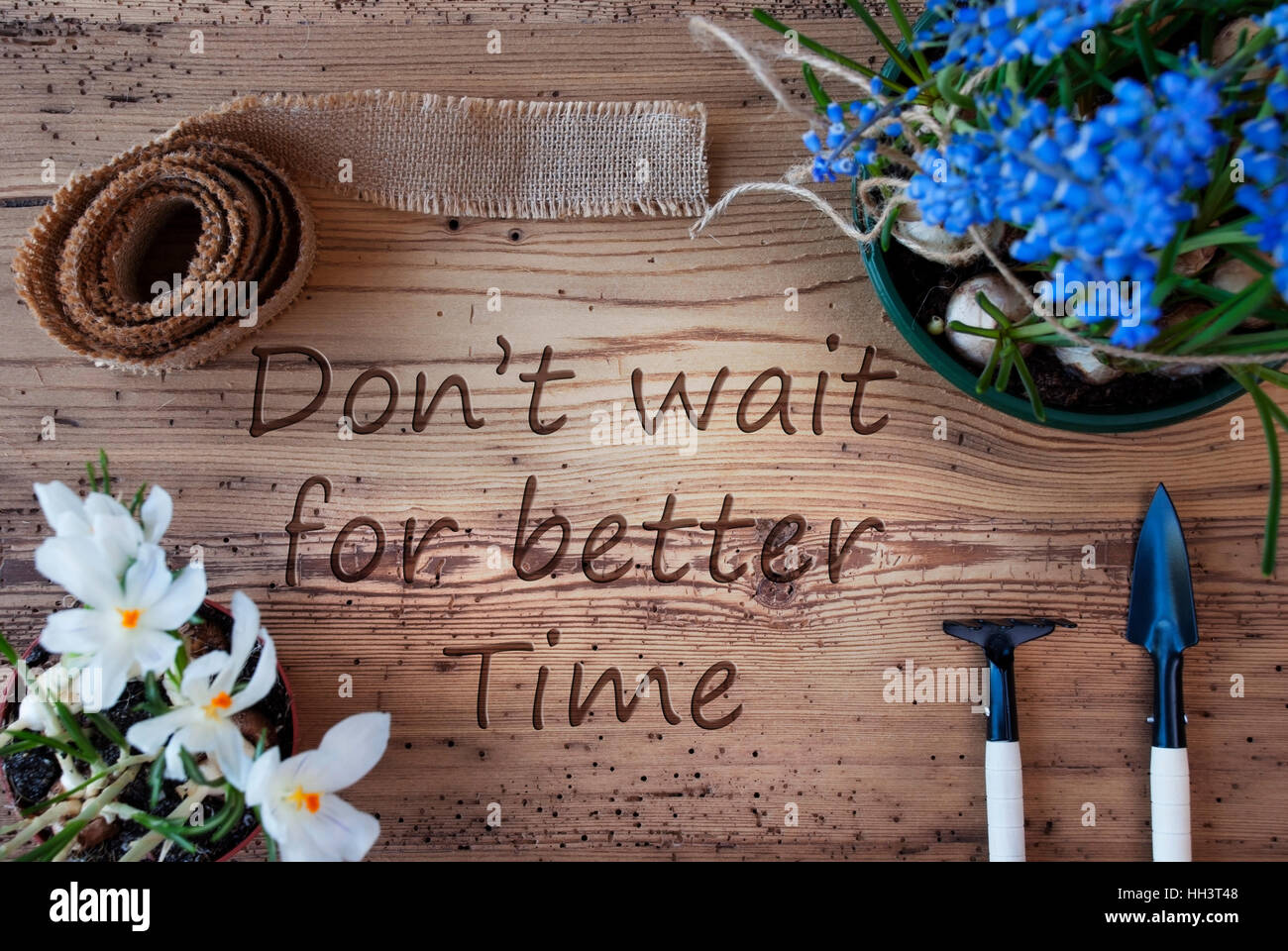 Spring Flowers, Quote Dont Wait For Better Time Stock Photo - Alamy