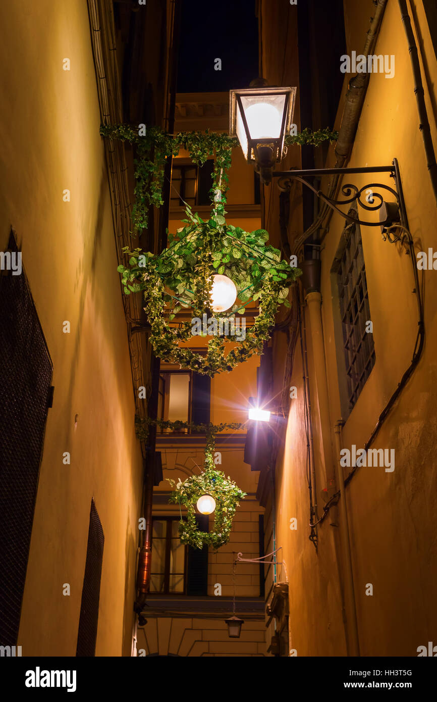 plant decorated alley in Florence, Italy, at night Stock Photo - Alamy