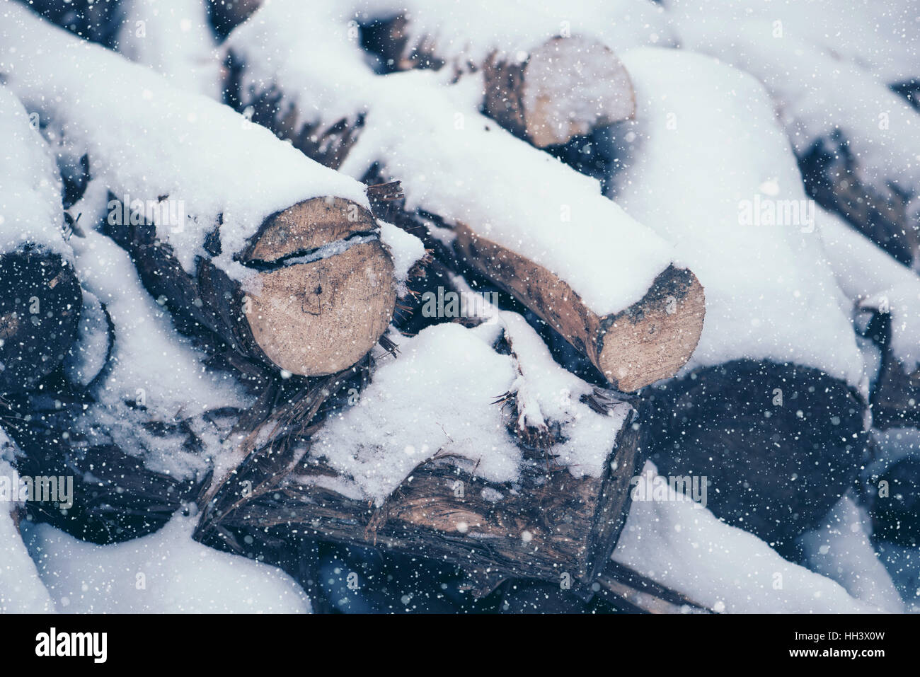 Pile of cut wood logs under white winter snow Stock Photo - Alamy