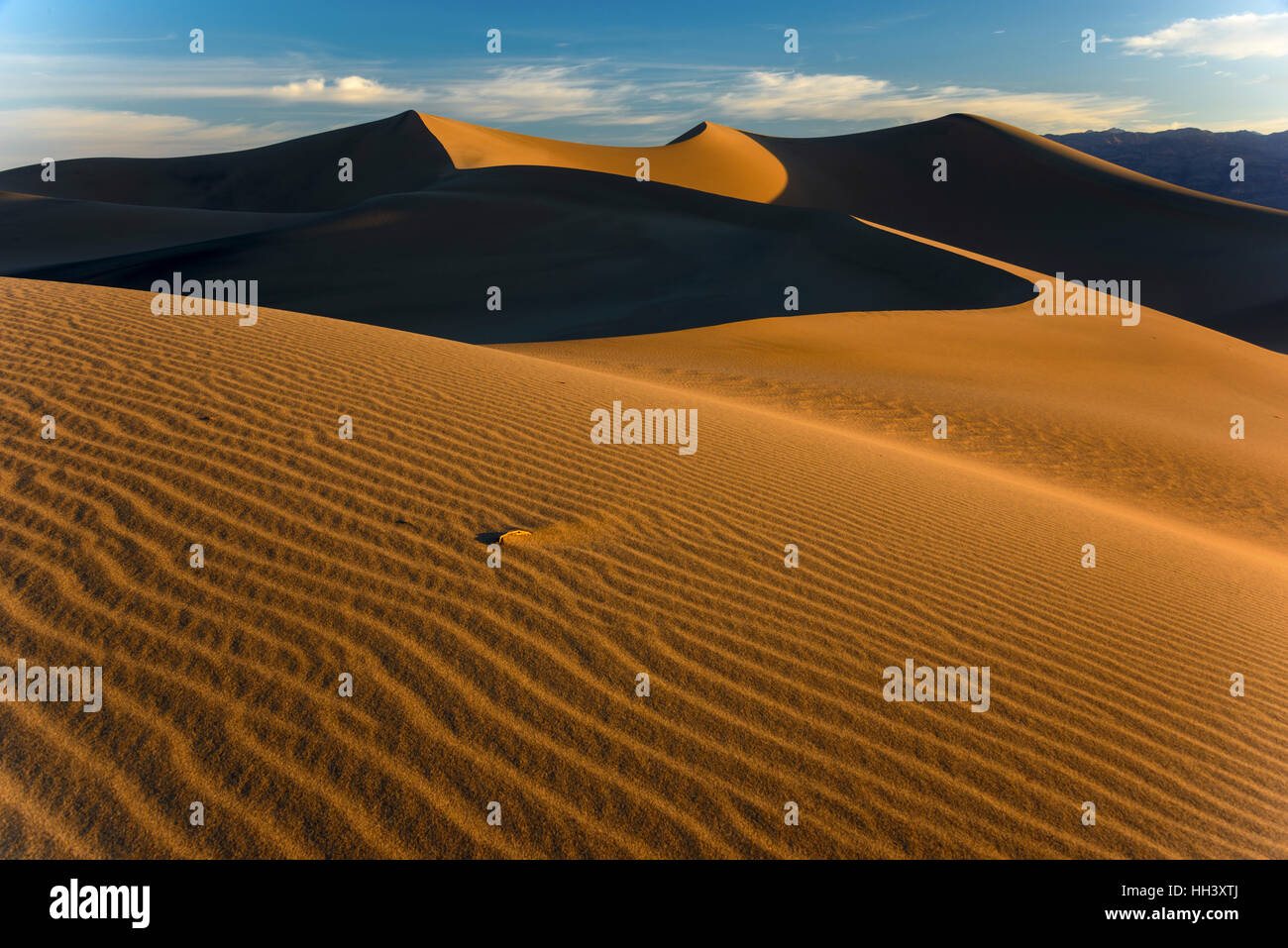 Death valley detail hi-res stock photography and images - Alamy