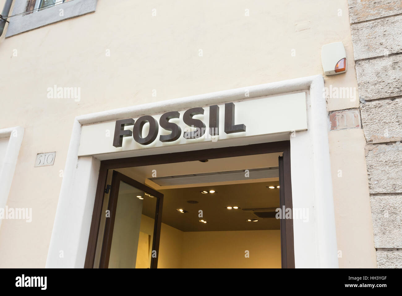 Fossil Shop High Resolution Stock Photography and Images - Alamy
