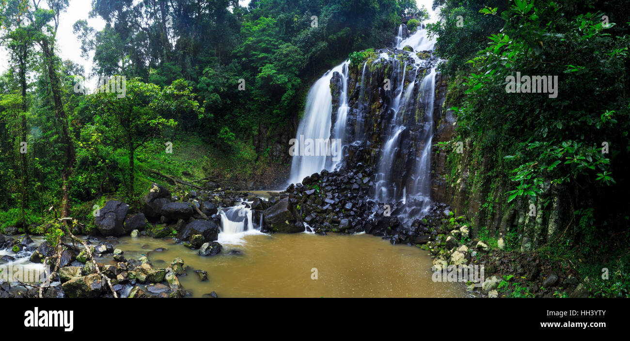 Mungali hi-res stock photography and images - Alamy