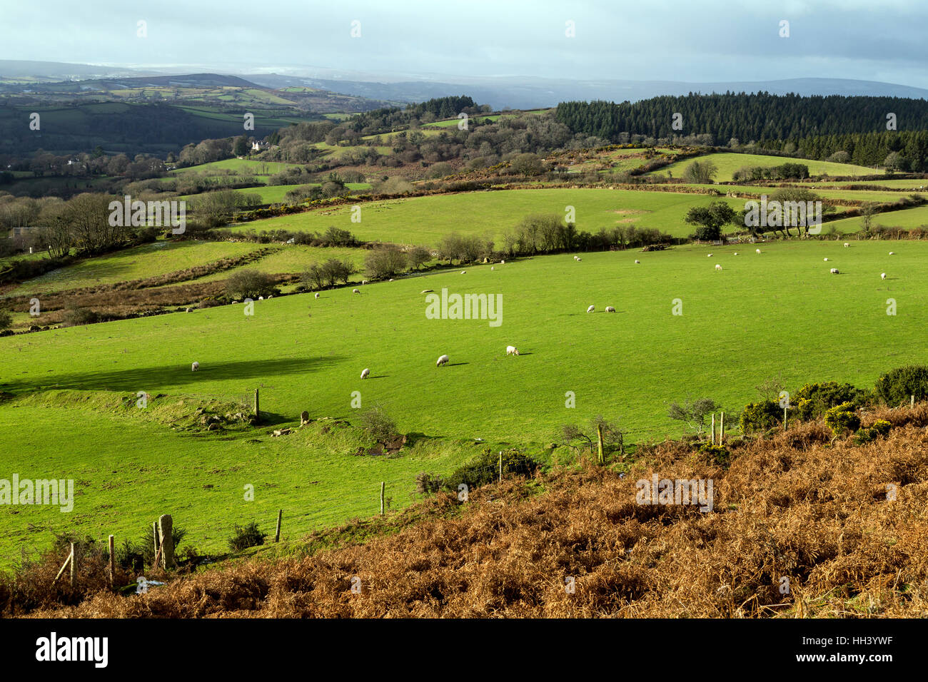 Mardon hi-res stock photography and images - Alamy