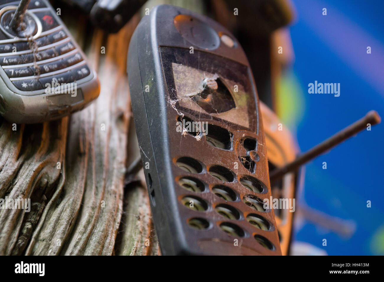 Broken old mobile phones nailed to tree Stock Photo - Alamy