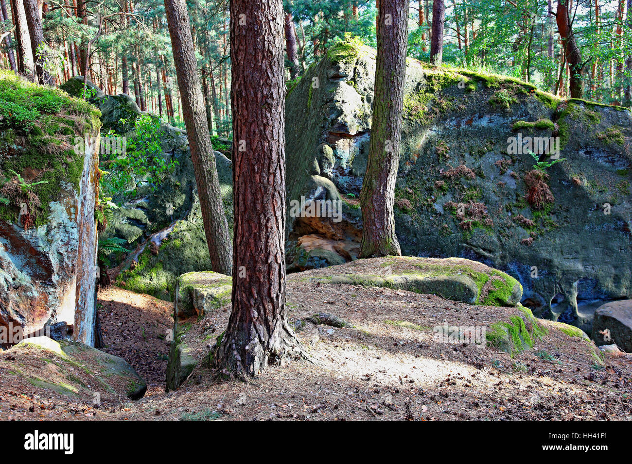 Ernst michel rocks hi-res stock photography and images - Alamy