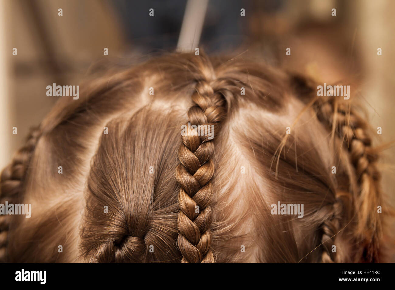 Braided Hair Close Up