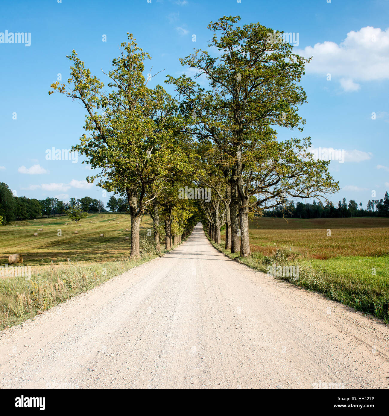Winding country Road with clouds above and gravel surface Stock Photo ...