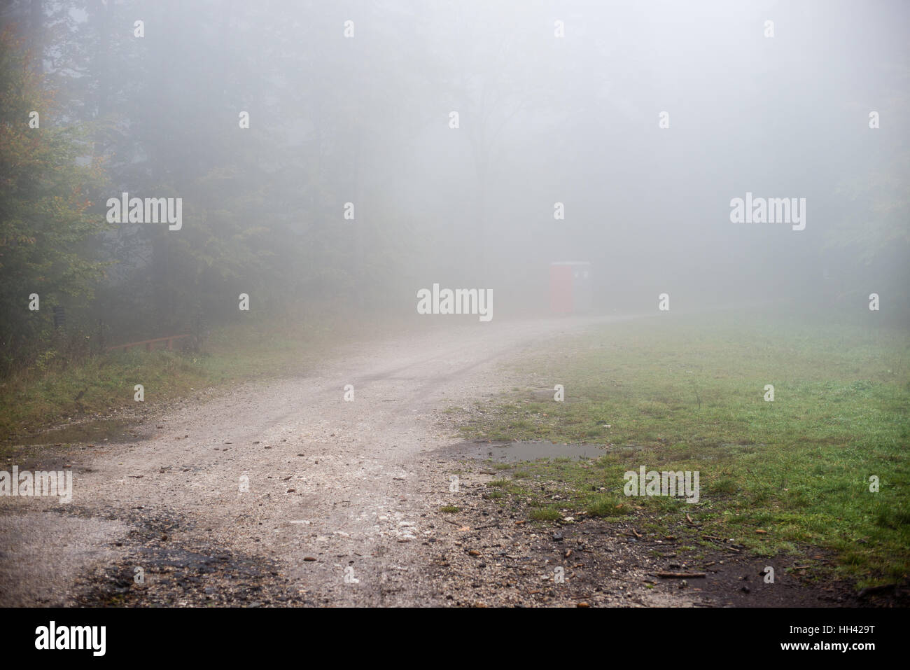 colorful autumn trees in heavy mist in wet forest after rain. scenic ...