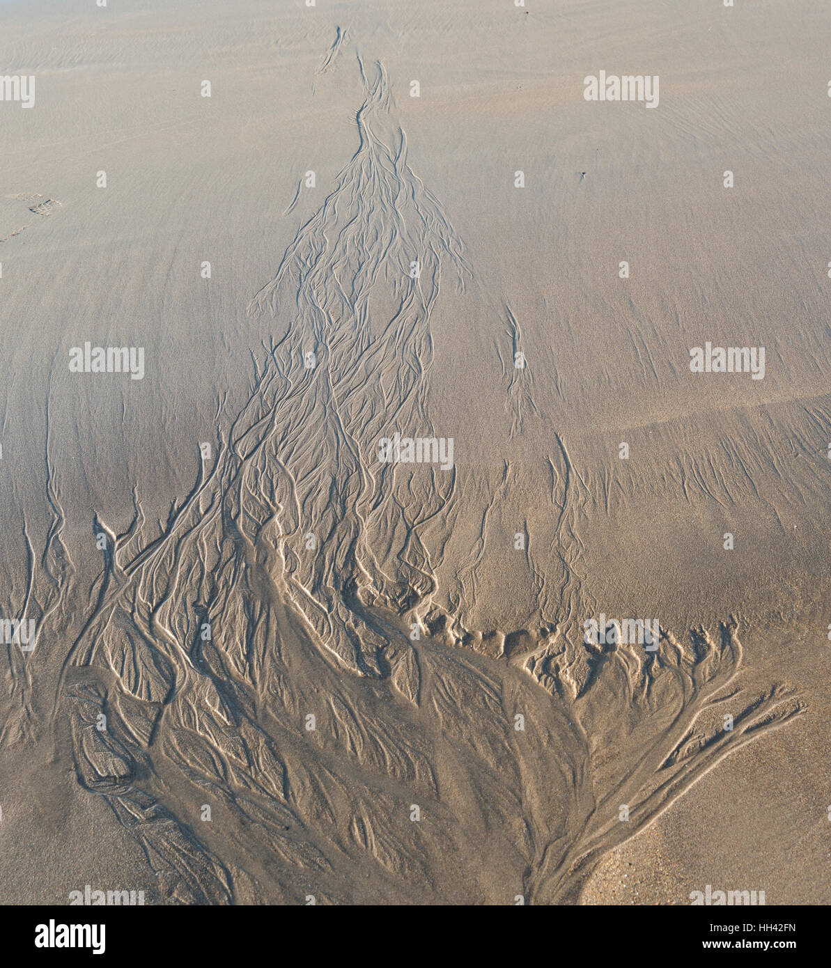 Water patterns on sand with shadows and morning light Stock Photo - Alamy