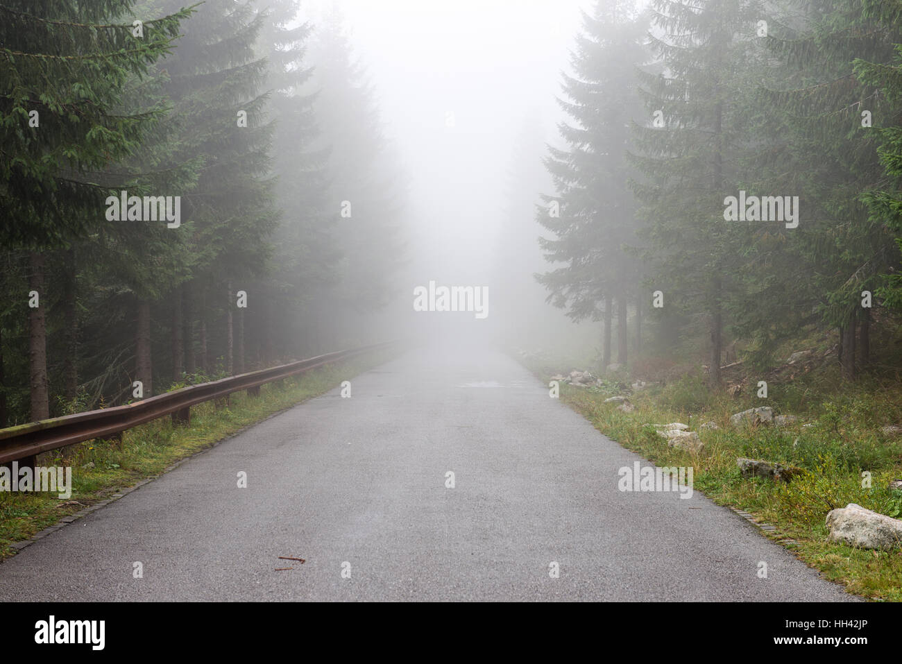 empty road in the countryside with trees in surrounding. perspective in ...