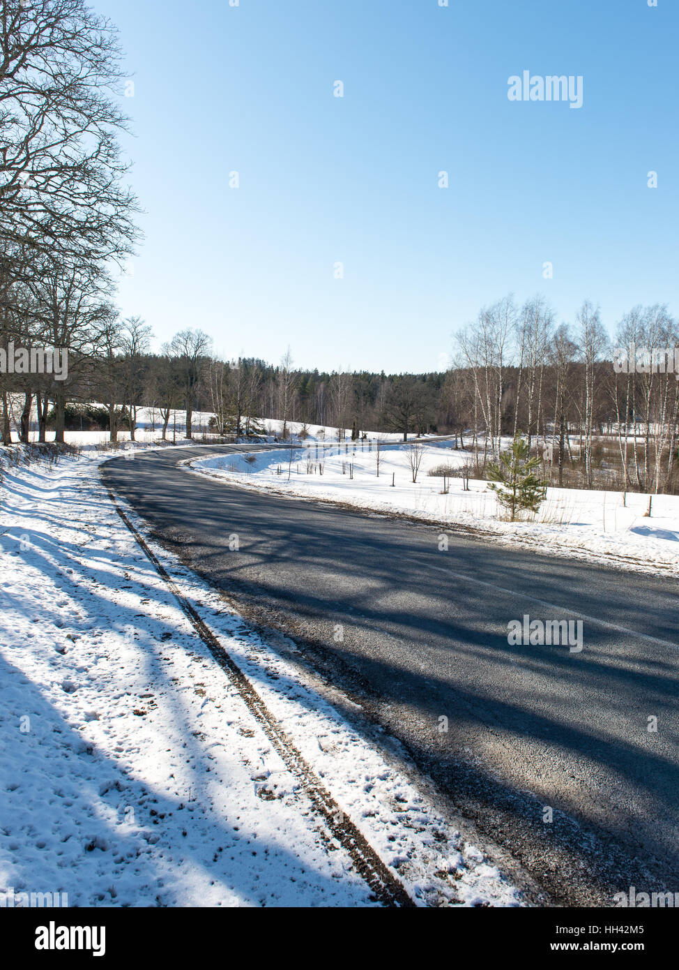 icy winter road with sun rays and trees Stock Photo - Alamy