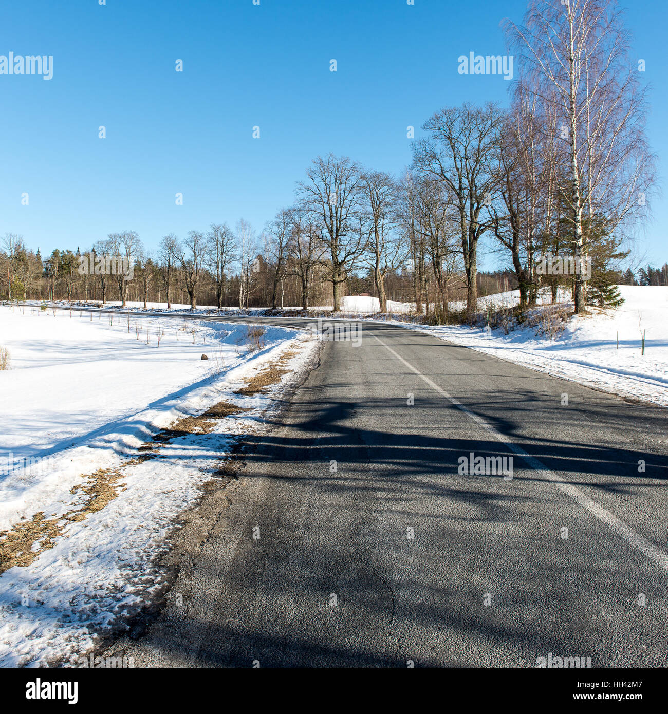 icy winter road with sun rays and trees Stock Photo - Alamy
