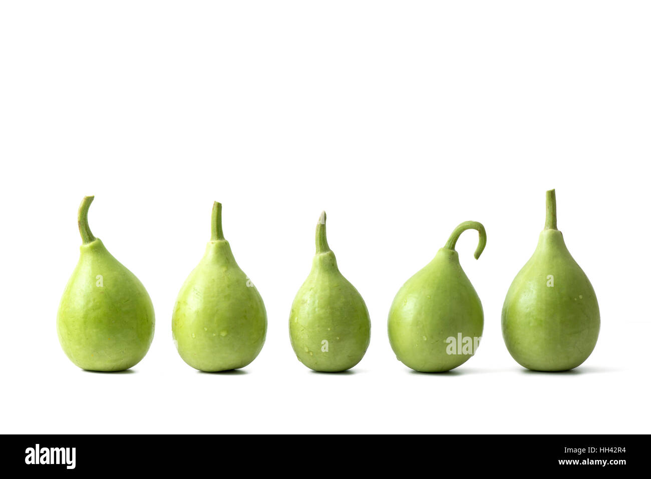 Calabash vegetable hi-res stock photography and images - Alamy