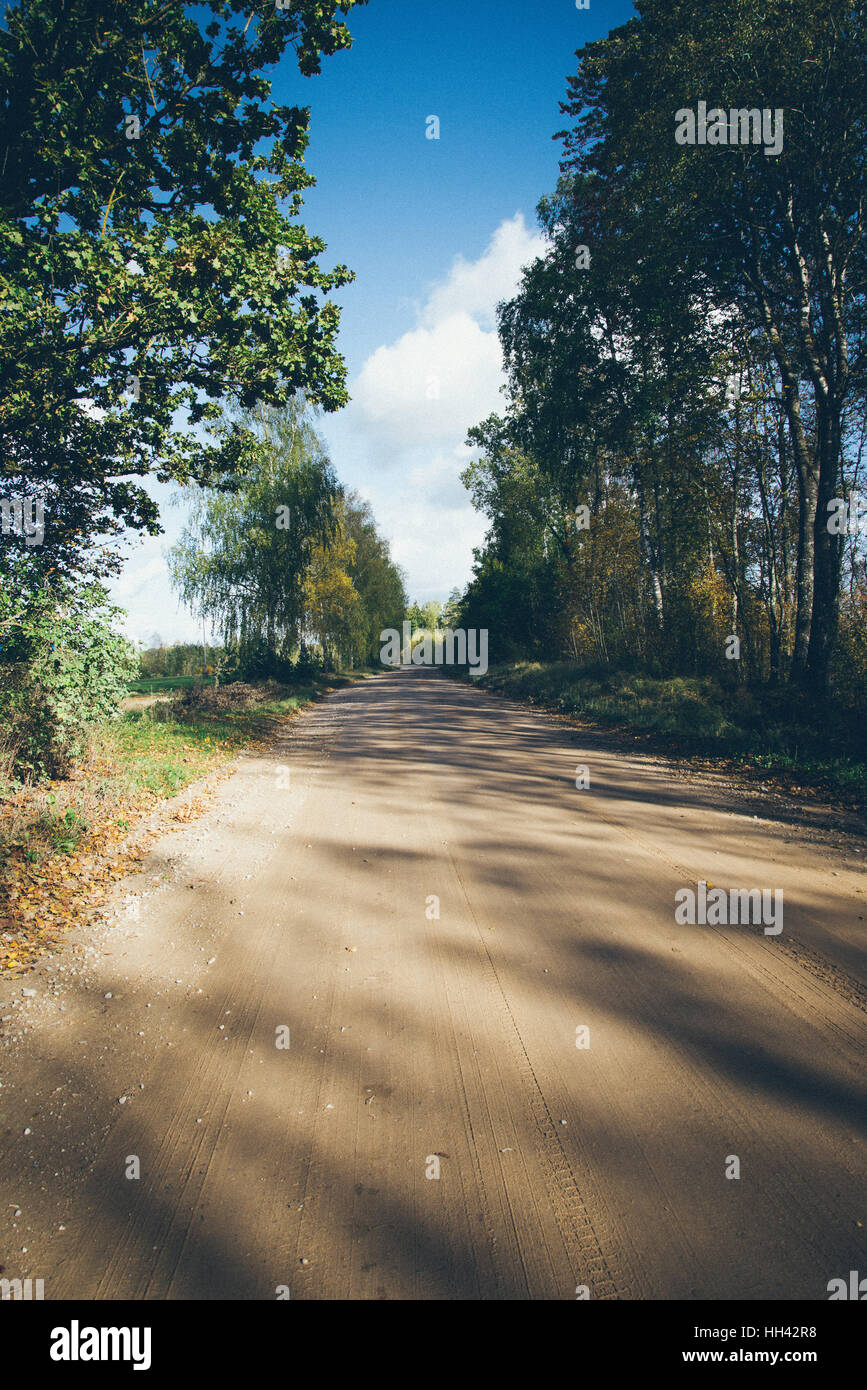 empty country road with perspective Retro grainy color film look Stock ...