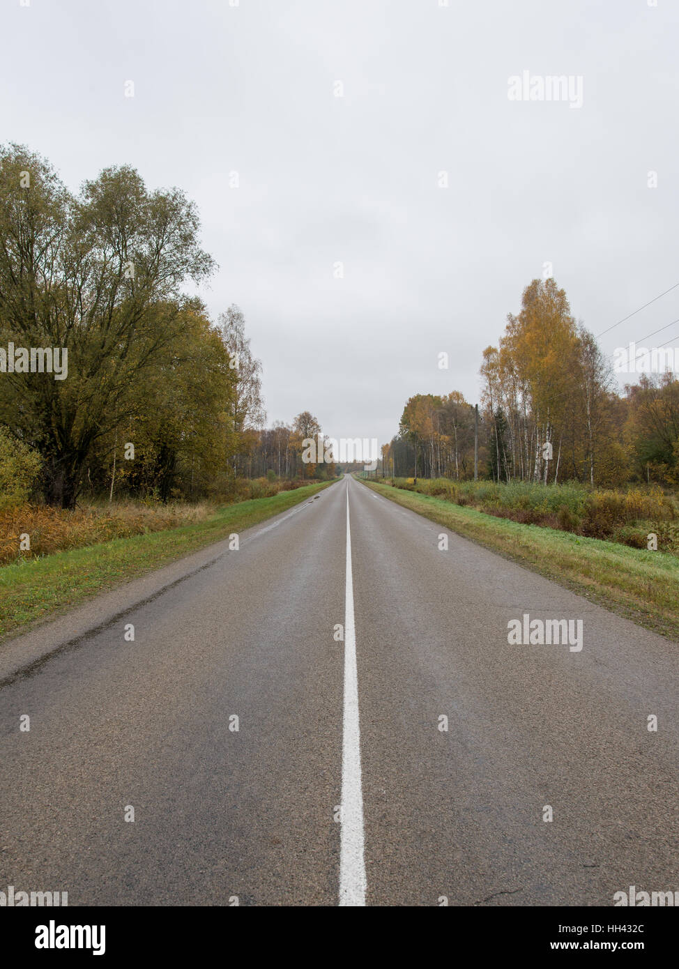 wet asphalt road with sun reflections and trees Stock Photo - Alamy