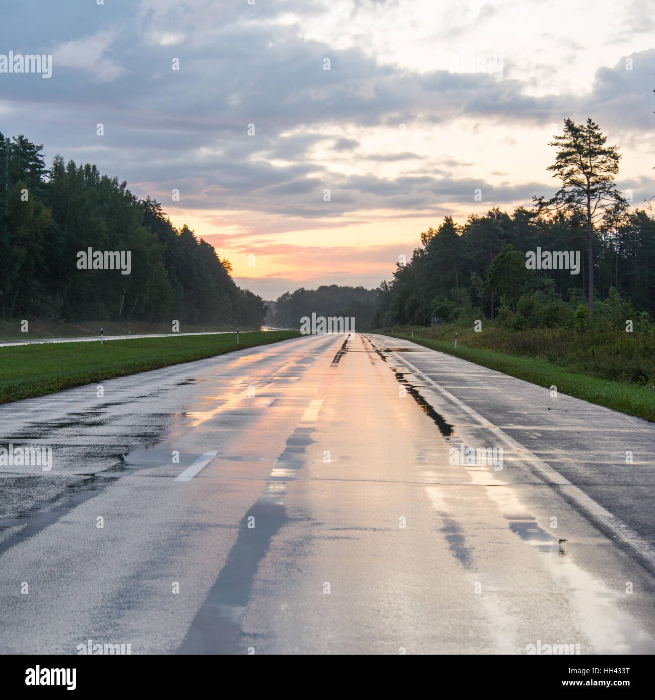 wet asphalt road with sun reflections and trees Stock Photo - Alamy
