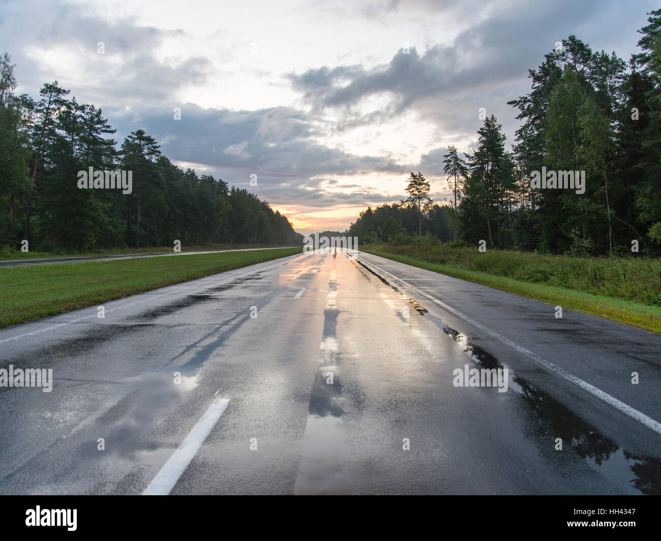 wet asphalt road with sun reflections and trees Stock Photo - Alamy