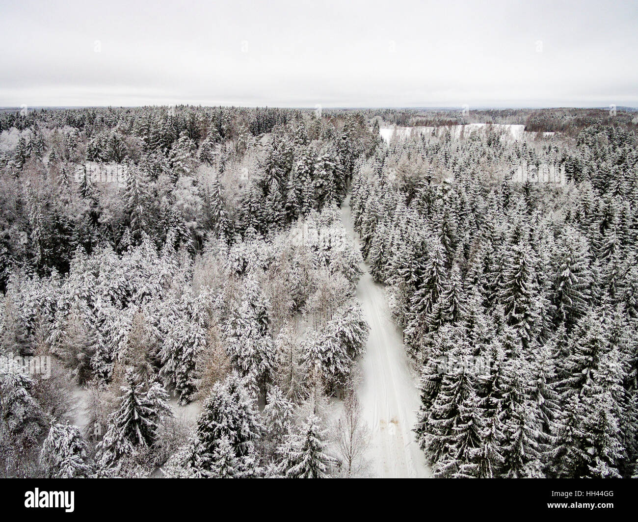 aerial view of winter forest covered in snow. drone photography Stock ...