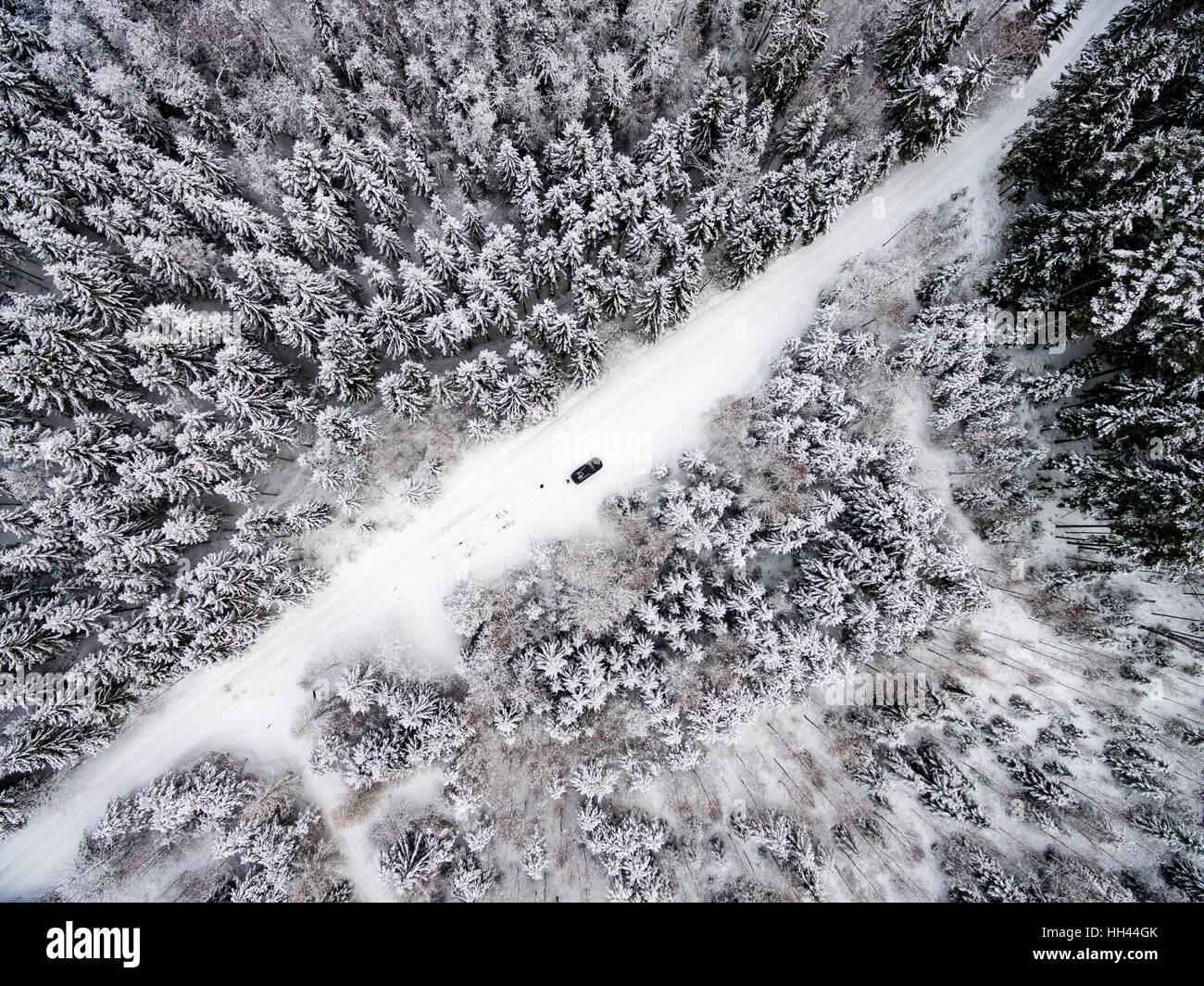 aerial view of winter forest covered in snow. drone photography Stock ...
