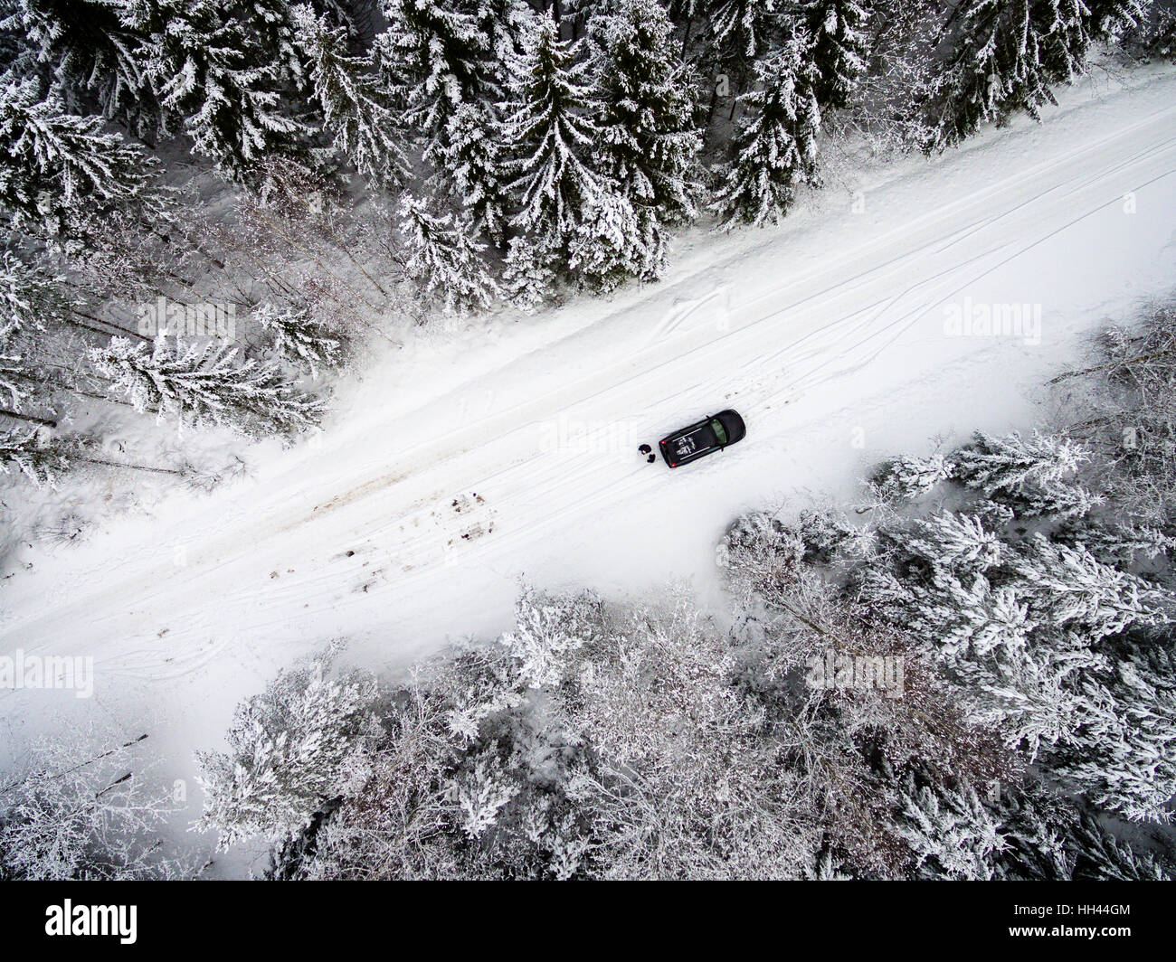 aerial view of winter forest covered in snow. drone photography Stock ...