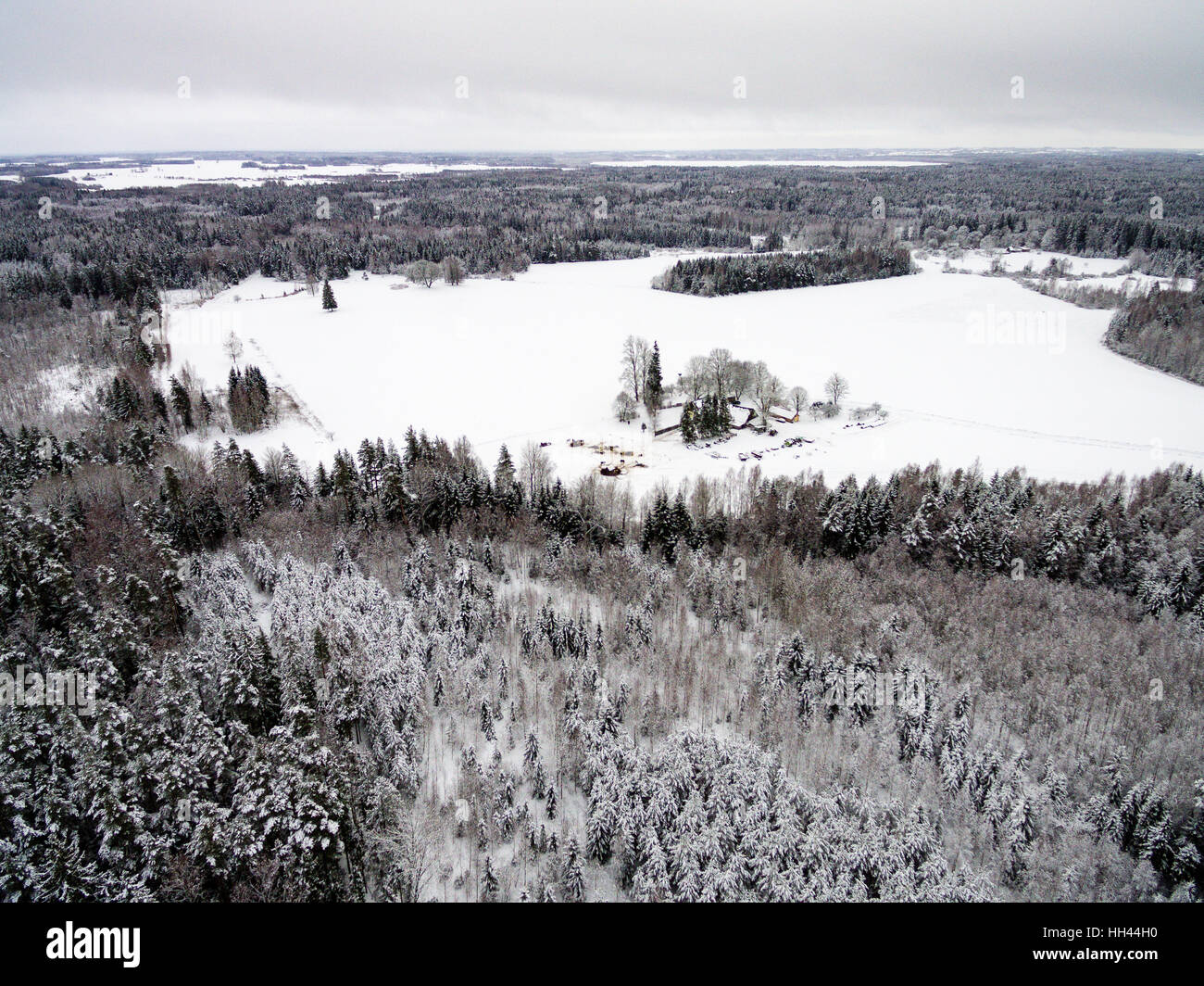 aerial view of winter forest covered in snow. drone photography Stock ...