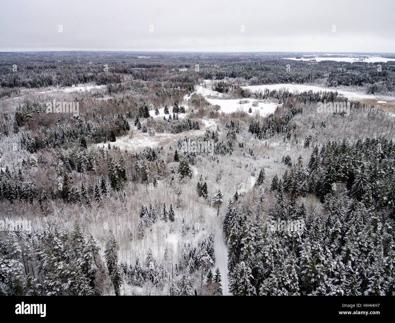 aerial view of winter forest covered in snow. drone photography Stock ...