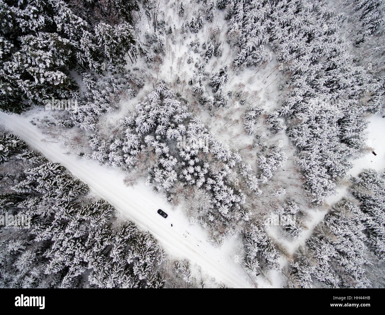 aerial view of winter forest covered in snow. drone photography Stock ...