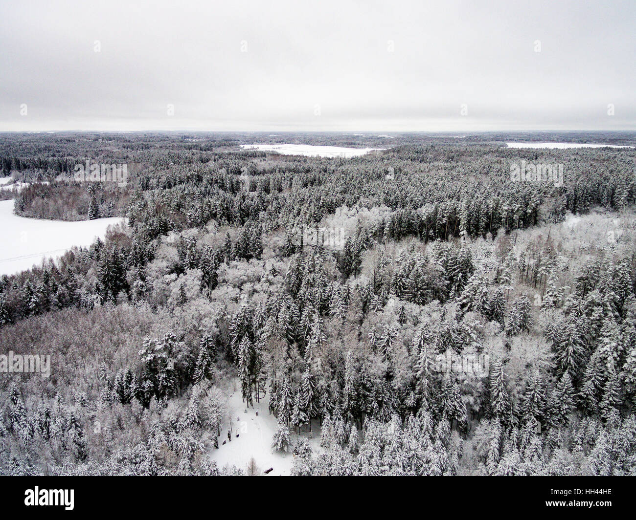aerial view of winter forest covered in snow. drone photography Stock ...
