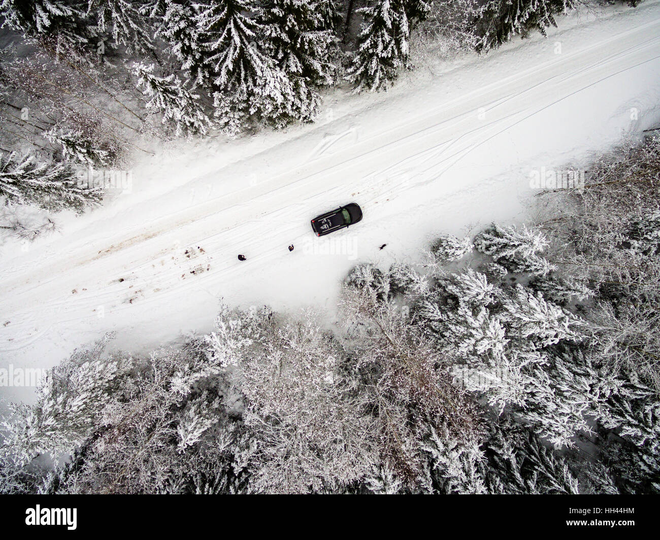 aerial view of winter forest covered in snow. drone photography Stock ...