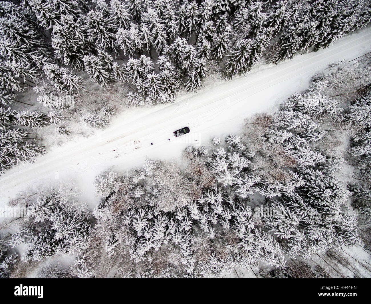 aerial view of winter forest covered in snow. drone photography Stock ...