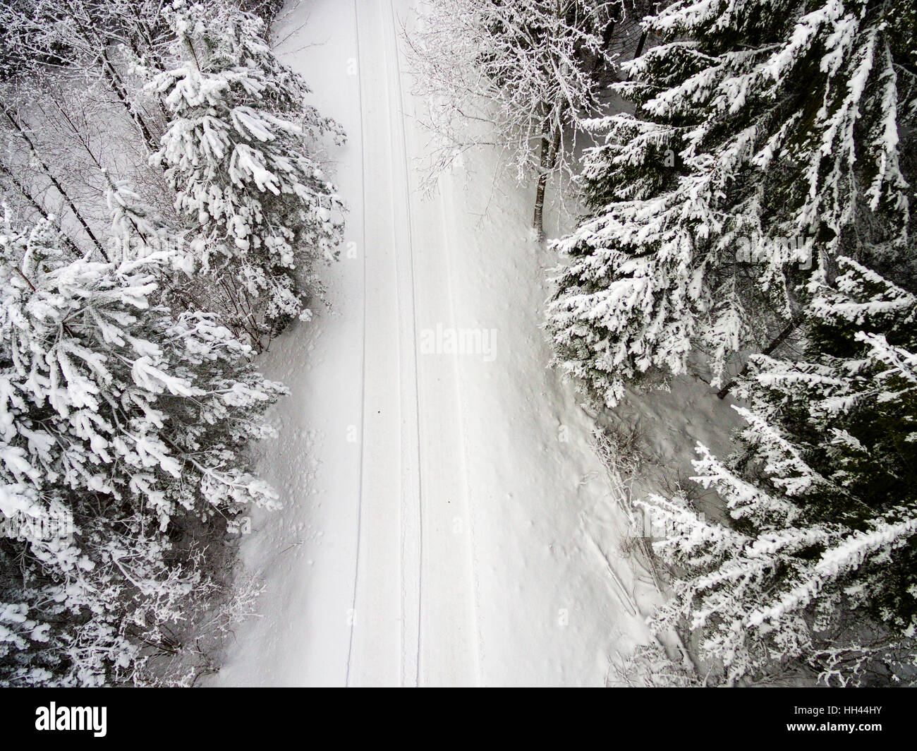 aerial view of winter forest covered in snow. drone photography Stock ...