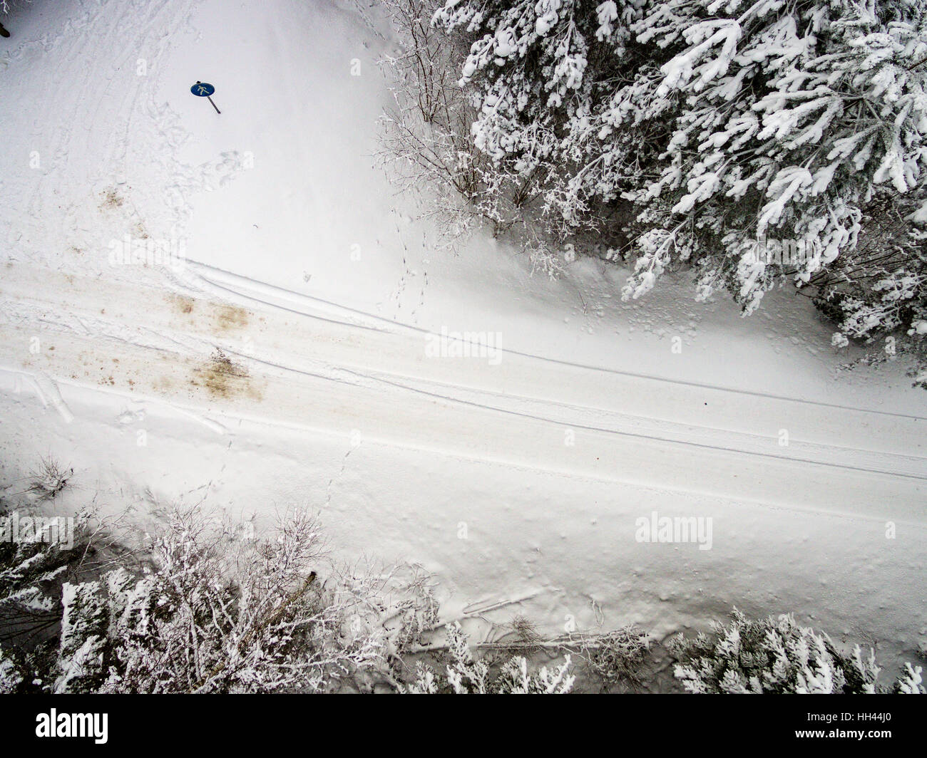 aerial view of winter forest covered in snow. drone photography Stock ...