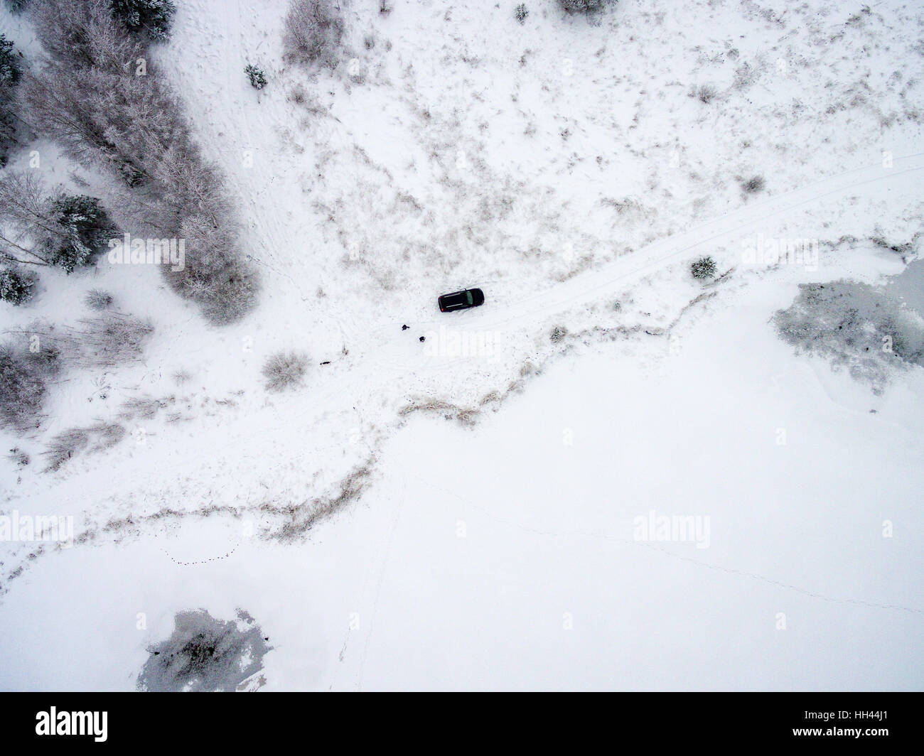 aerial view of winter forest covered in snow. drone photography Stock ...