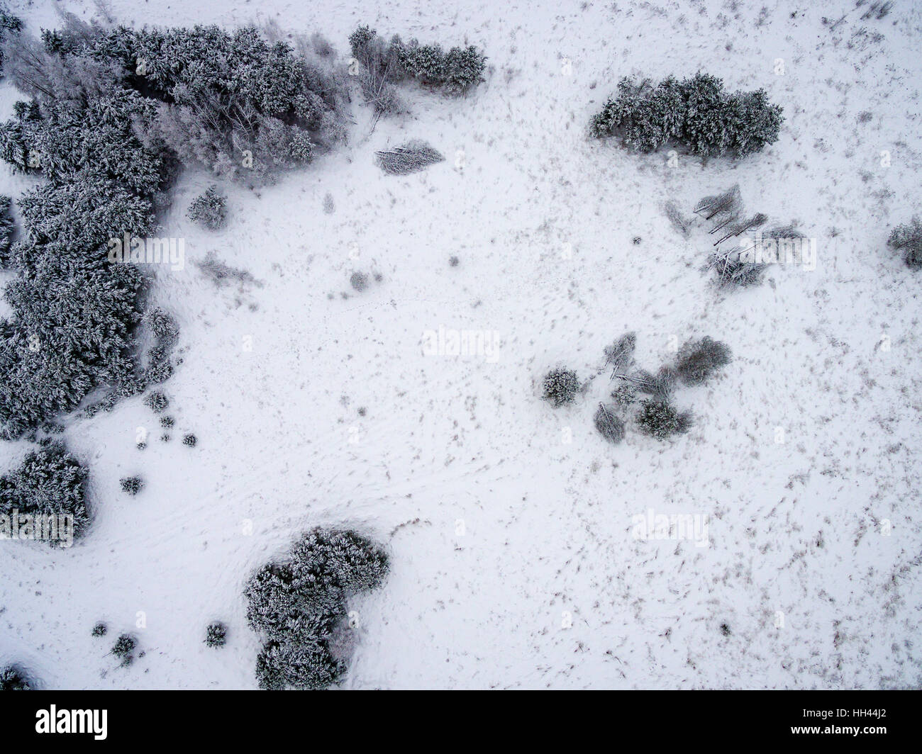 aerial view of winter forest covered in snow. drone photography Stock ...