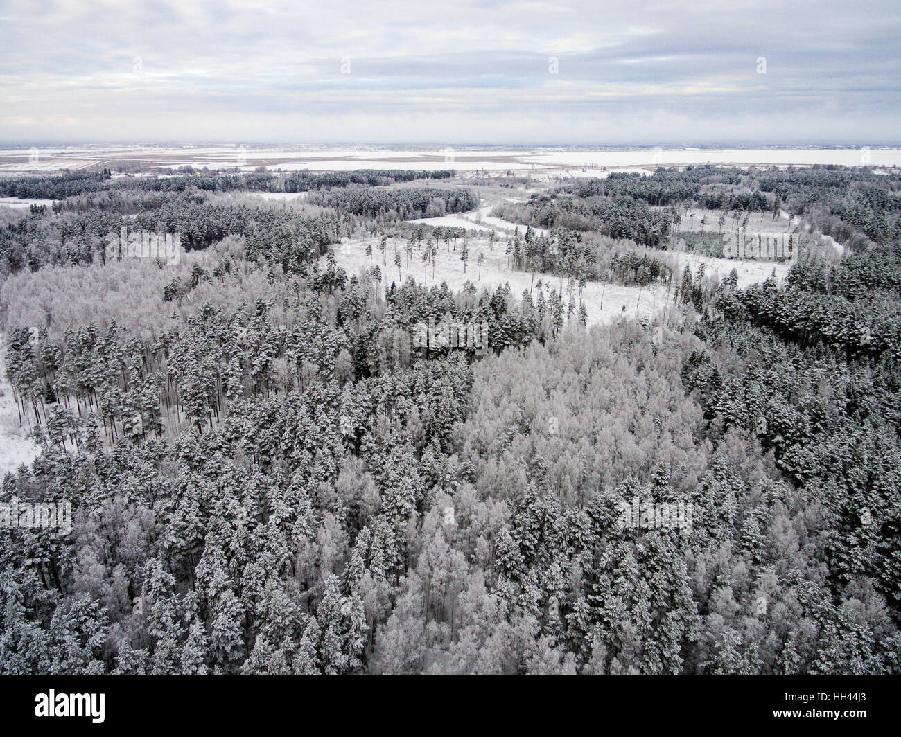 aerial view of winter forest covered in snow. drone photography Stock ...