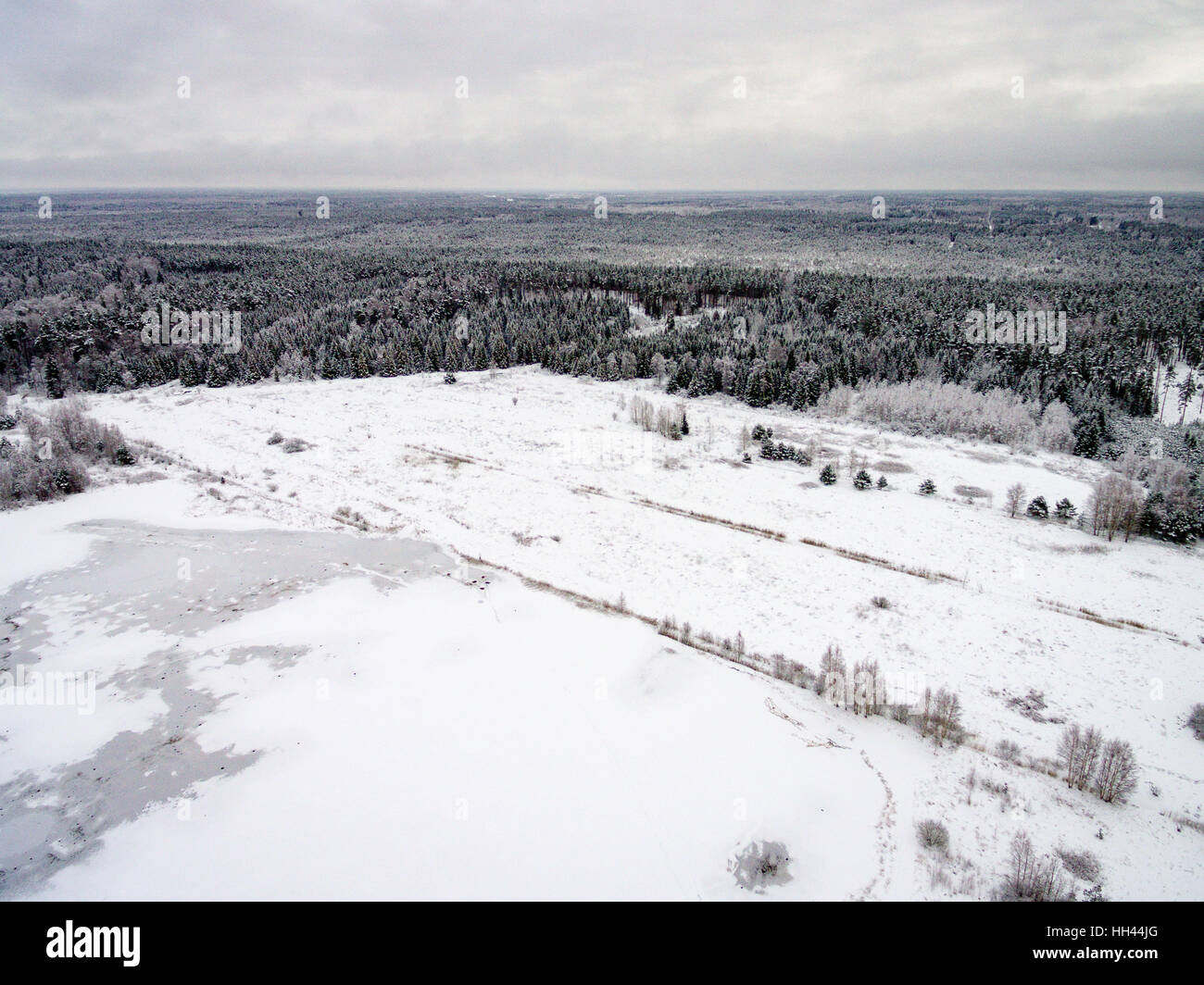 aerial view of winter forest covered in snow. drone photography Stock ...