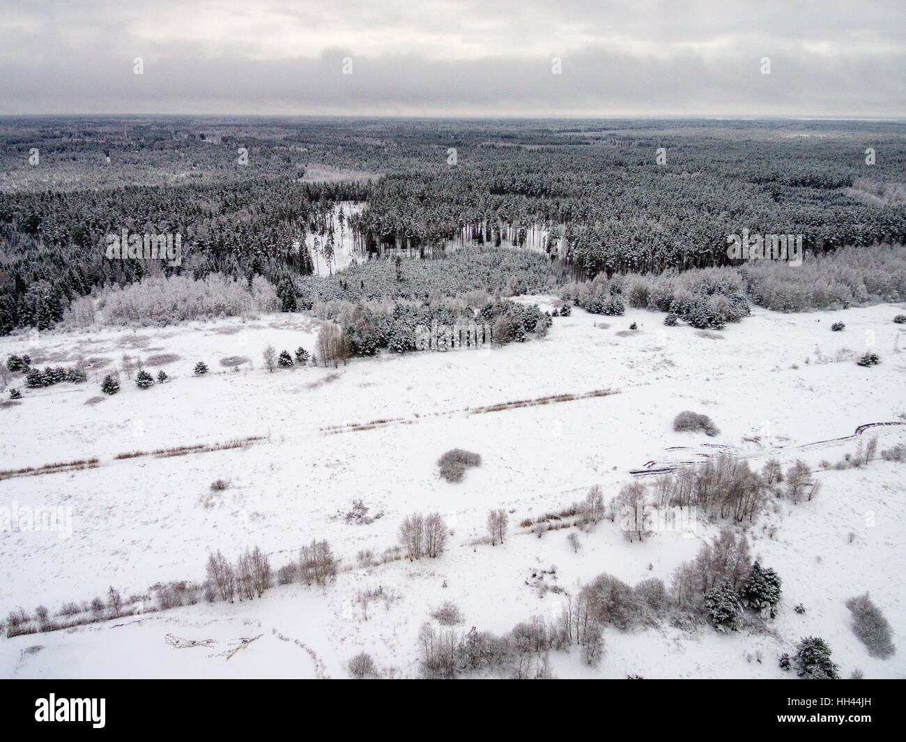 aerial view of winter forest covered in snow. drone photography Stock ...