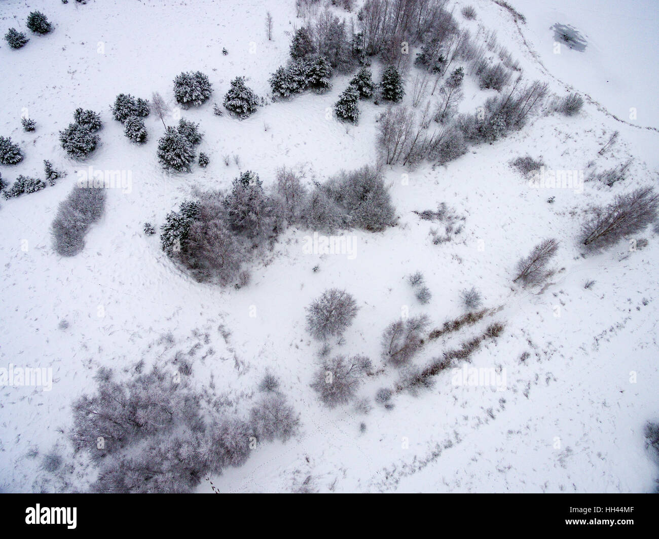 aerial view of winter forest covered in snow. drone photography Stock ...