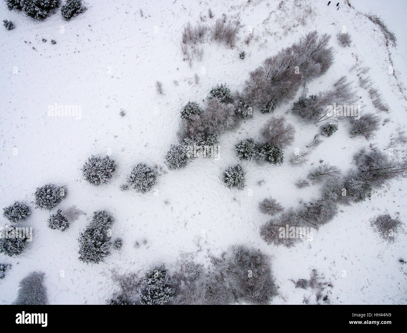 aerial view of winter forest covered in snow. drone photography Stock ...