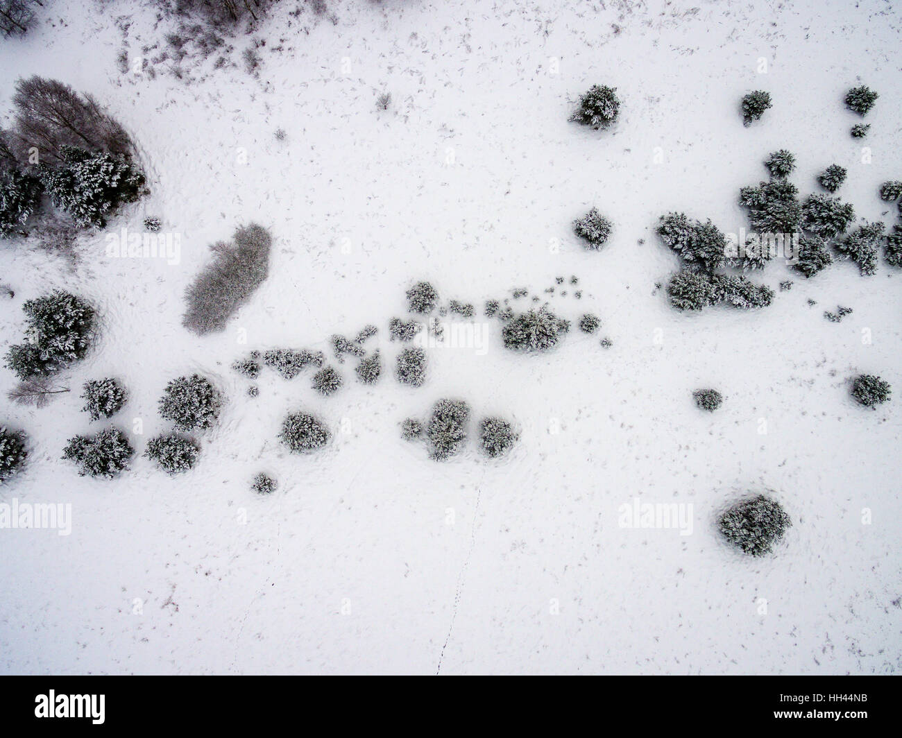 aerial view of winter forest covered in snow. drone photography Stock ...