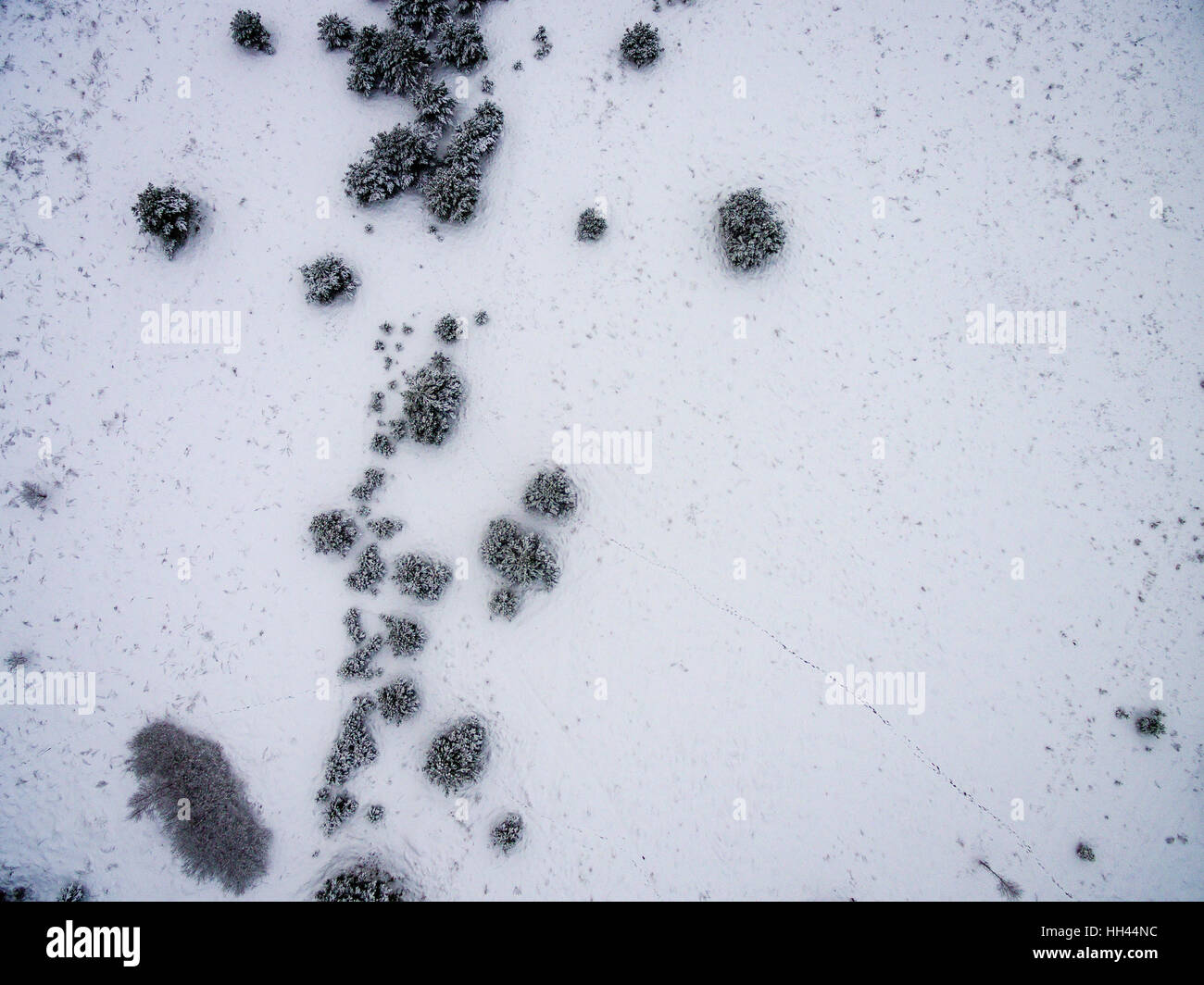 aerial view of winter forest covered in snow. drone photography Stock ...