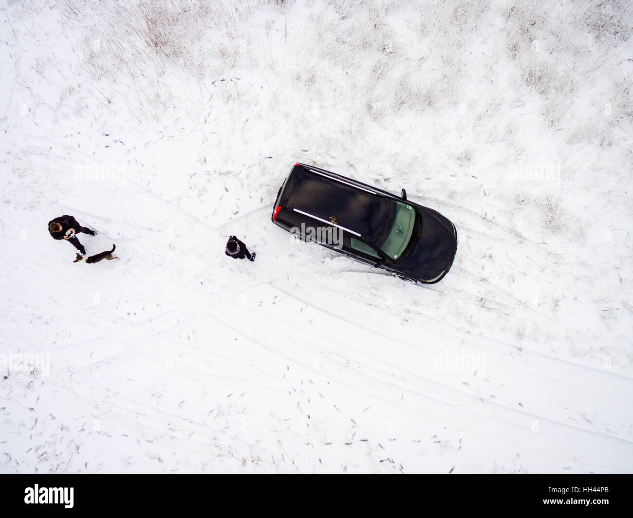 aerial view of winter forest covered in snow. drone photography Stock ...