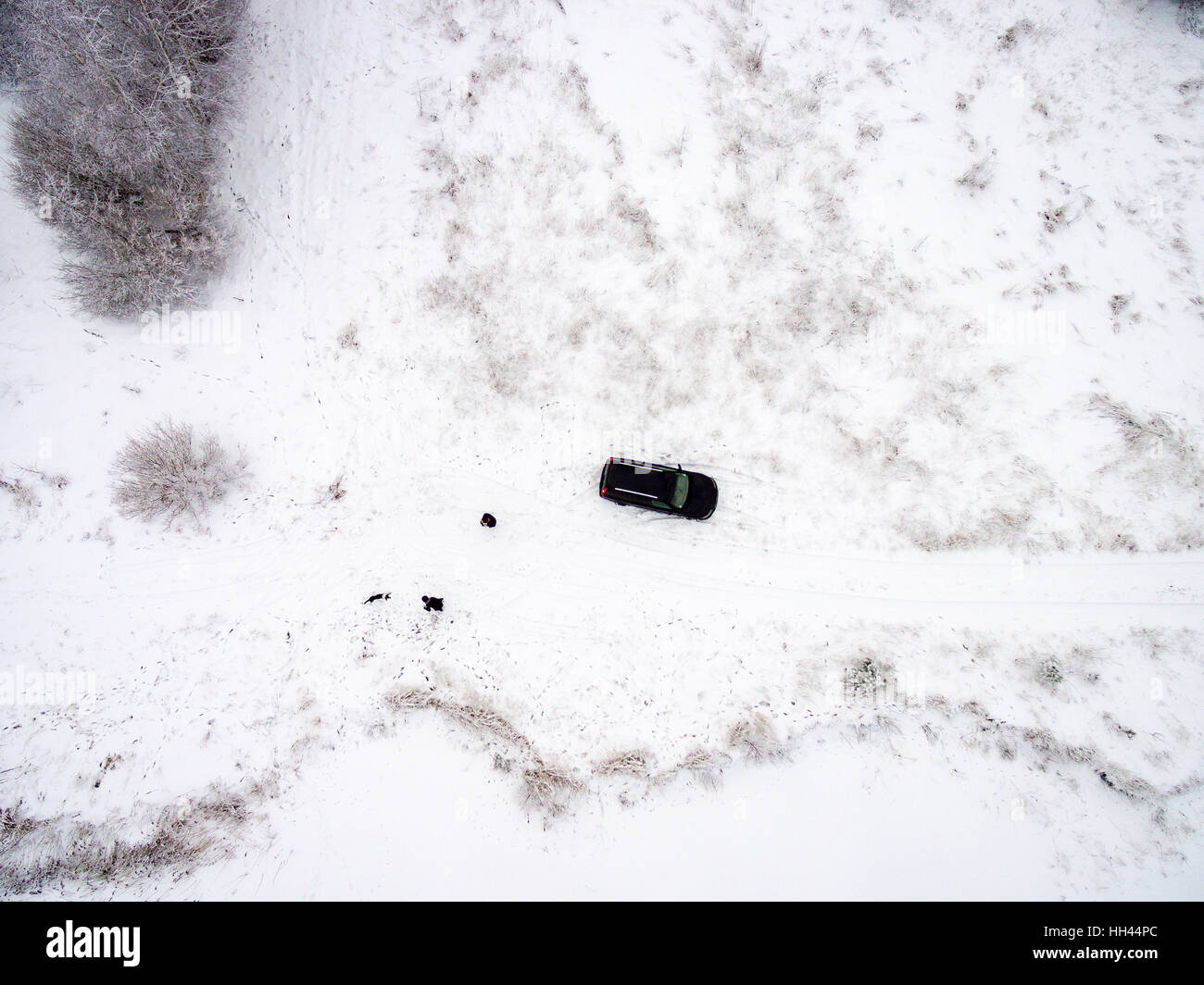 aerial view of winter forest covered in snow. drone photography Stock ...