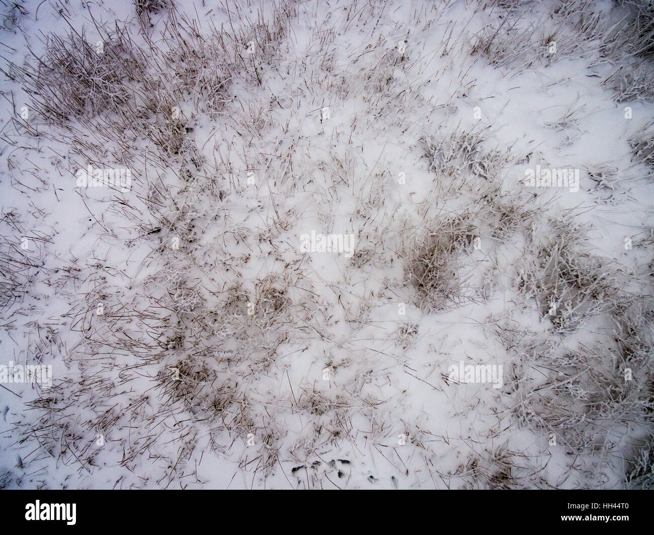 aerial view of winter forest covered in snow. drone photography Stock ...