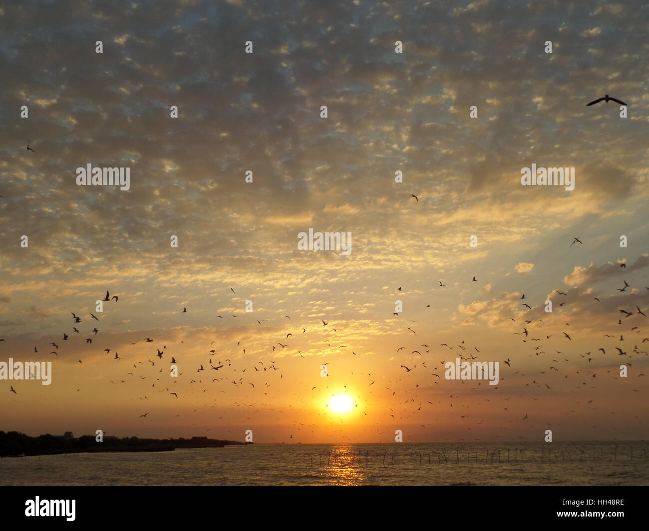 Beautiful ray of rising sun hi-res stock photography and images - Alamy